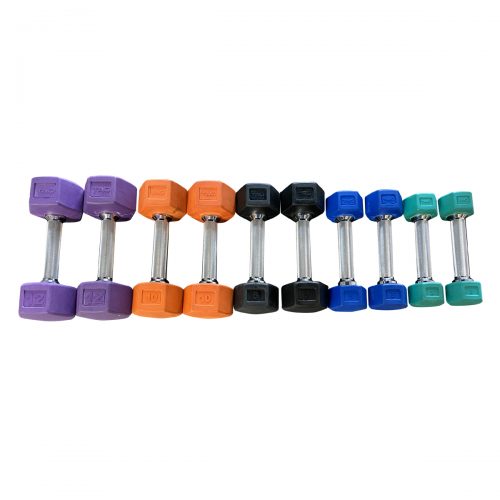 Dumbbells Archives - Tag Fitness